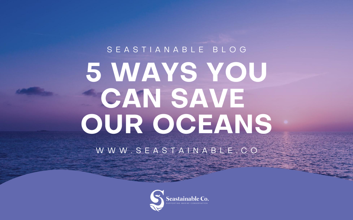 Seastainable Blog | 5 Ways You Can Save Our Ocean