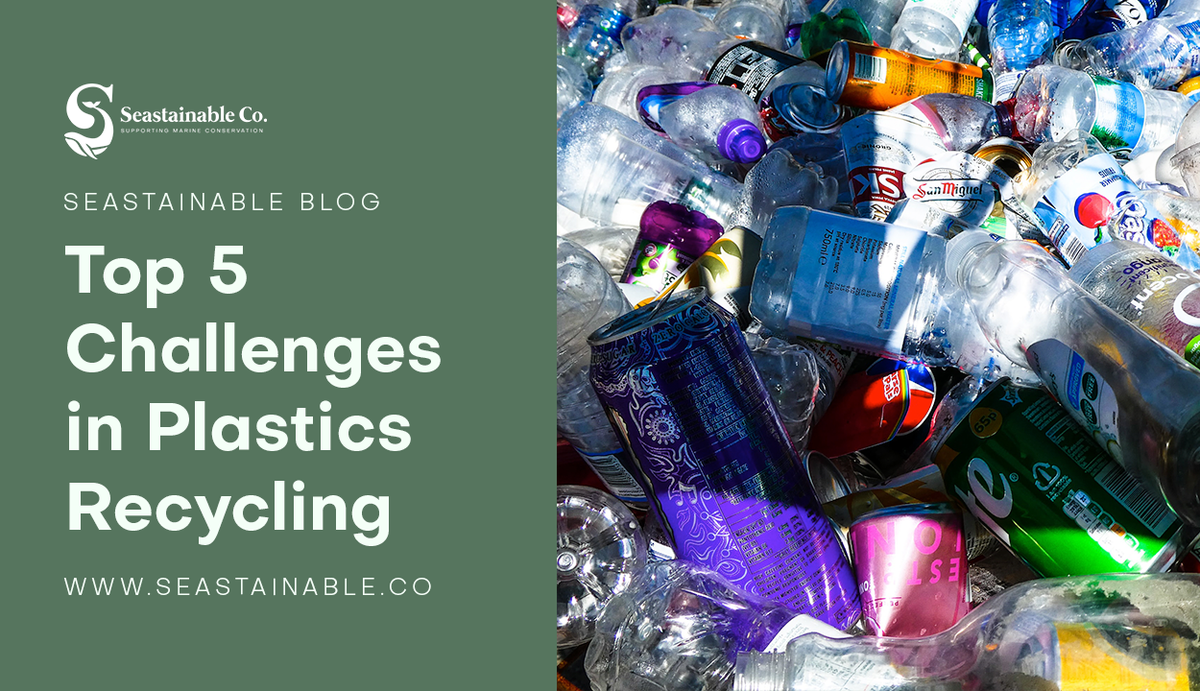 Top 5 Challenges in Plastics Recycling – Seastainable